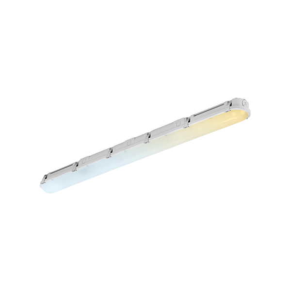 - auroralighting.com